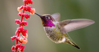 Shutter Speed in Photography: A Complete Guide | PetaPixel
