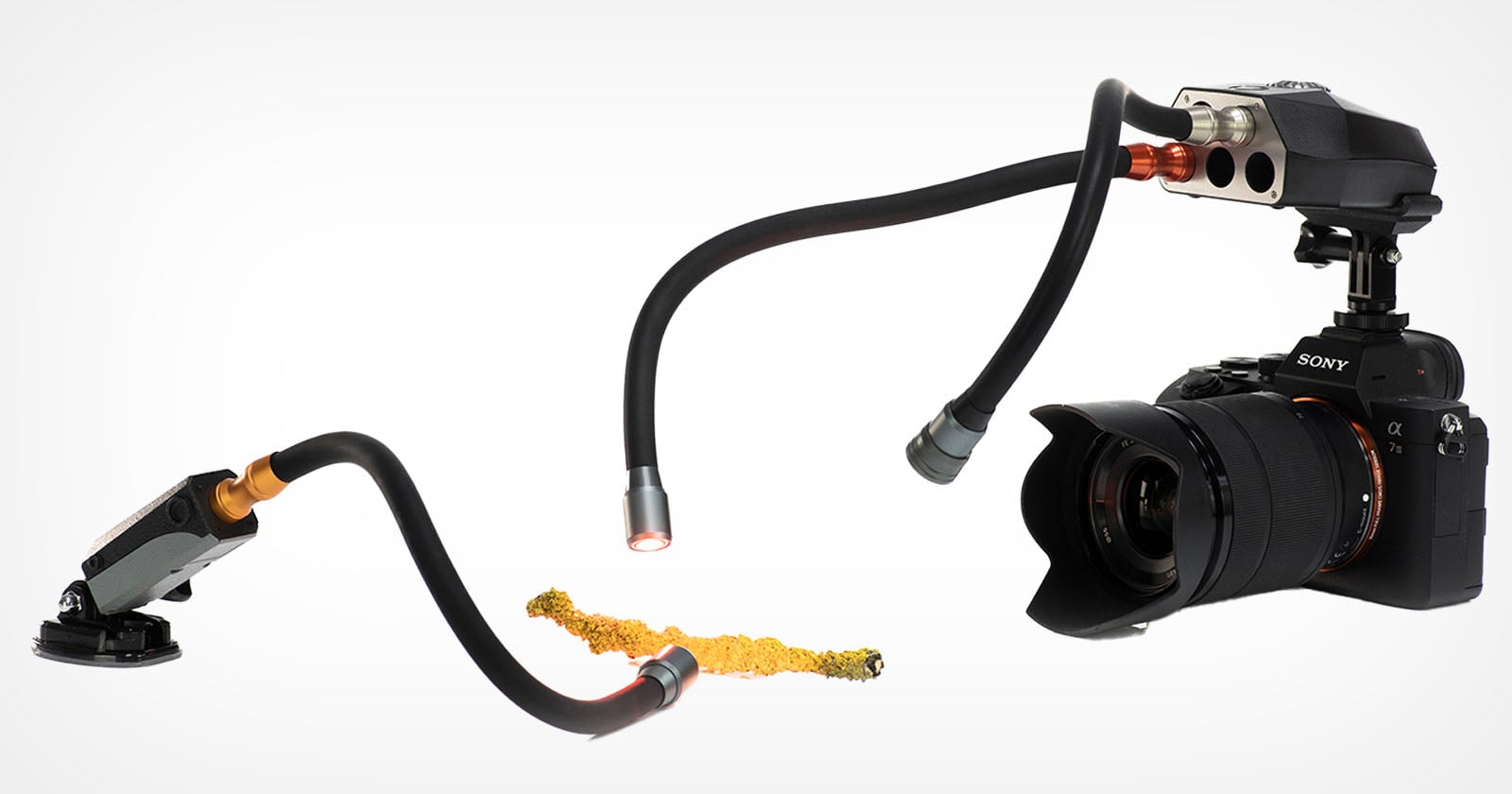 Adaptalux s Pod Mini Controls The Lighting For Macro Photography