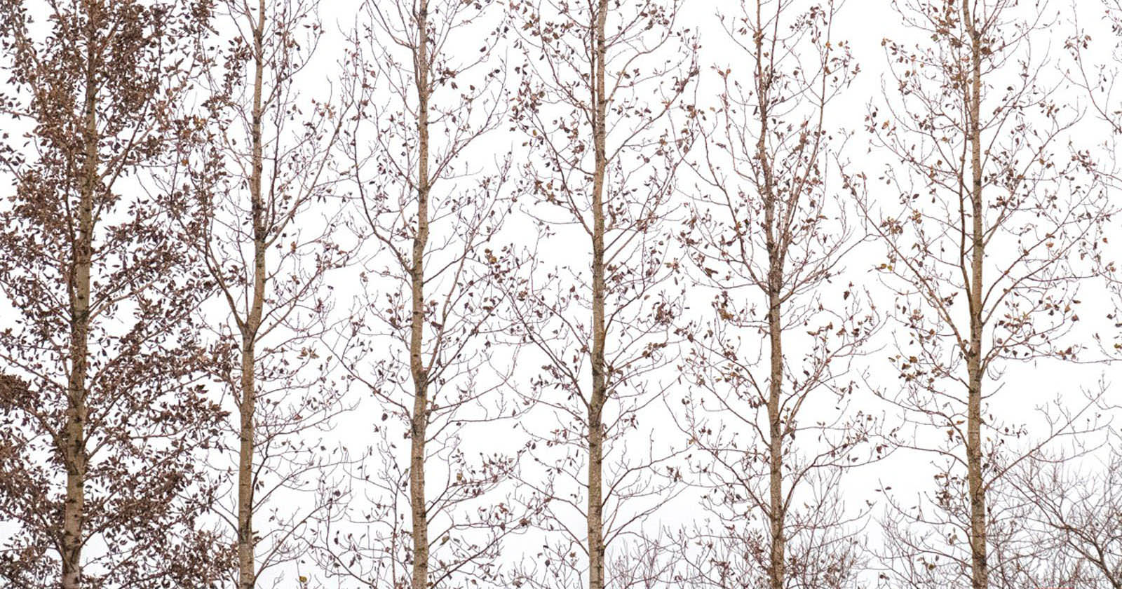 Shooting 'Haiku Photos' in Iceland | PetaPixel