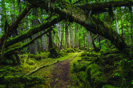 Spectacular Photos Showcase Secret Locations From Around the World ...