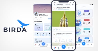 Birda App Can Help Photographers Find and Identify Bird Species | PetaPixel