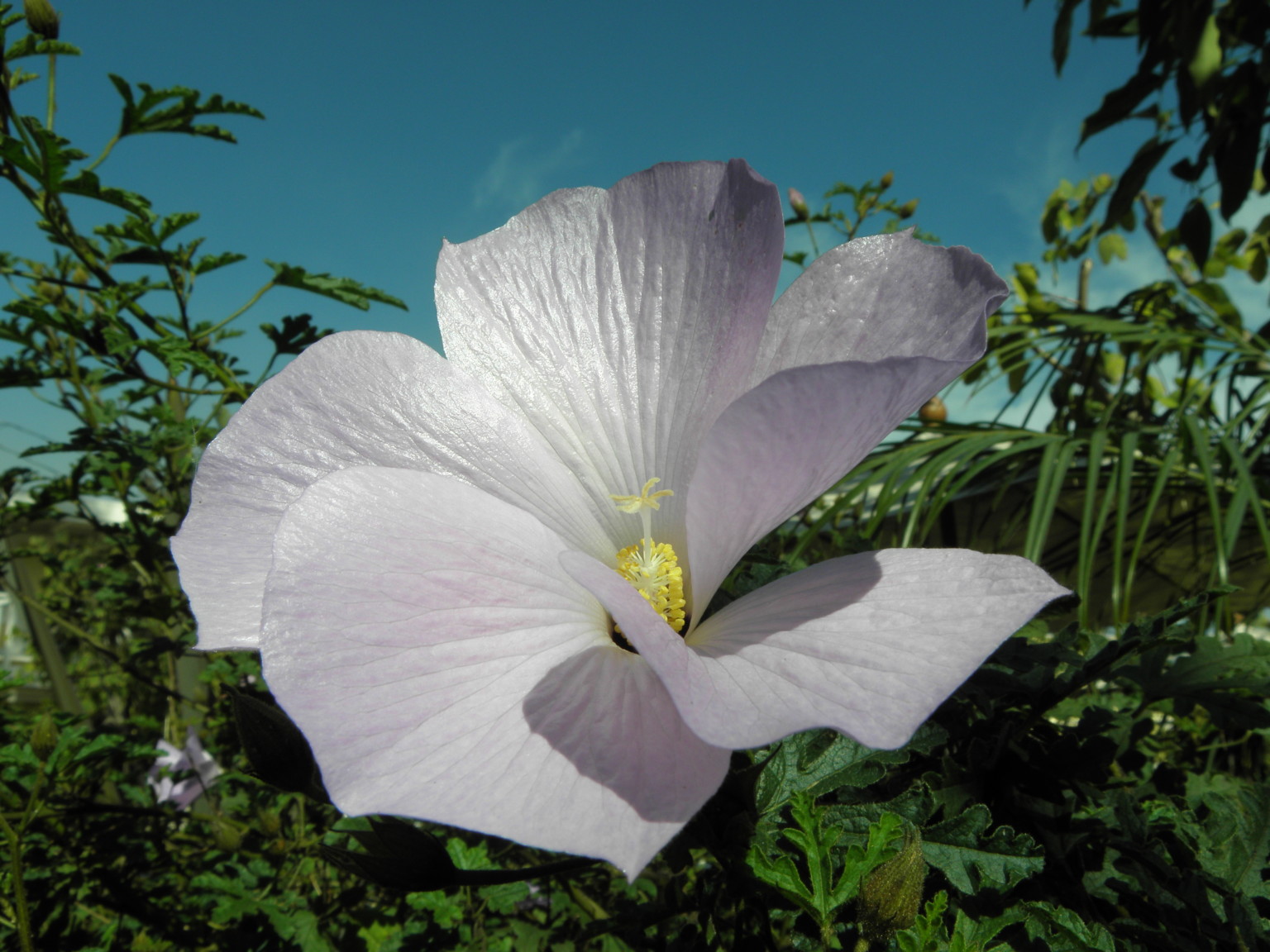 Veterans Teach Photography to Fellow Service Members to Foster Social ...