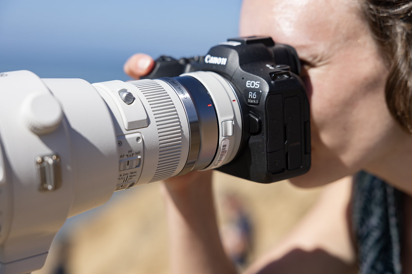 Hands-On with the Canon EOS R6 Mark II: It's Basically a Mini R3 ...