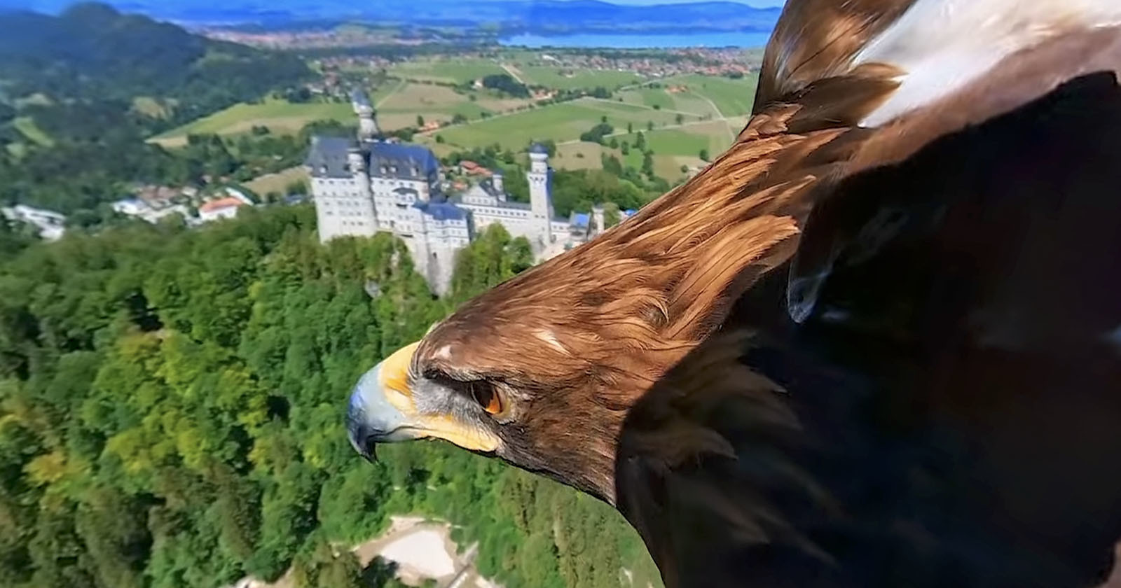 Eagle Camera Captures 360° View Over Iconic Castle That Inspired Disney ...
