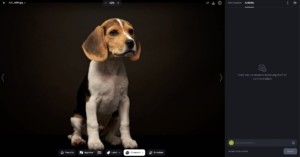 Picflow: Professional Client Gallery And Proofing Workflow Simplified ...