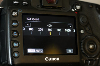 ISO in Photography: A Complete Guide | PetaPixel