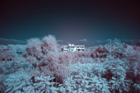 A Complete Guide to Camera Lens Filters | PetaPixel