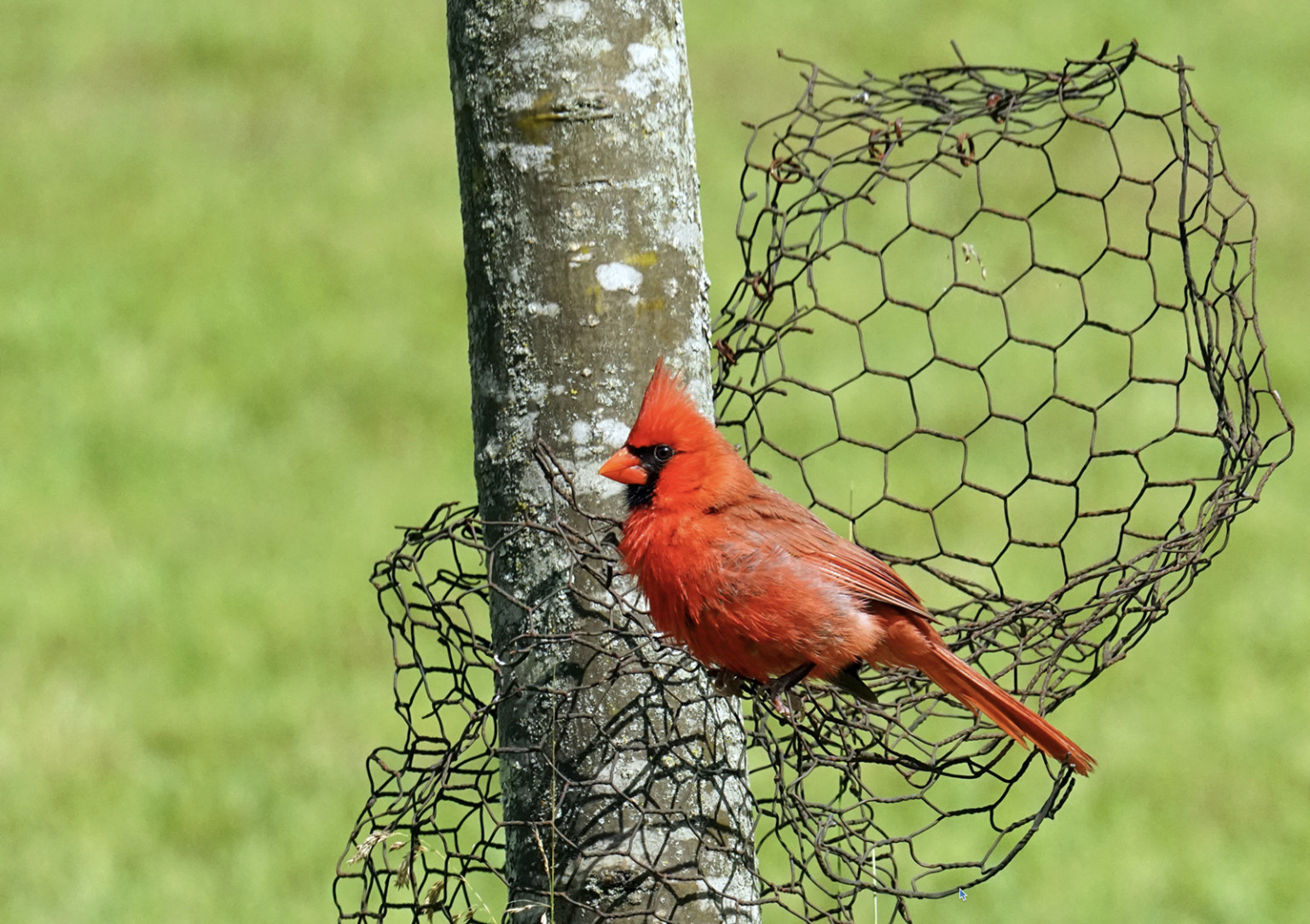 Topaz Labs’ Biggest Sale of the Year is on NOW | PetaPixel