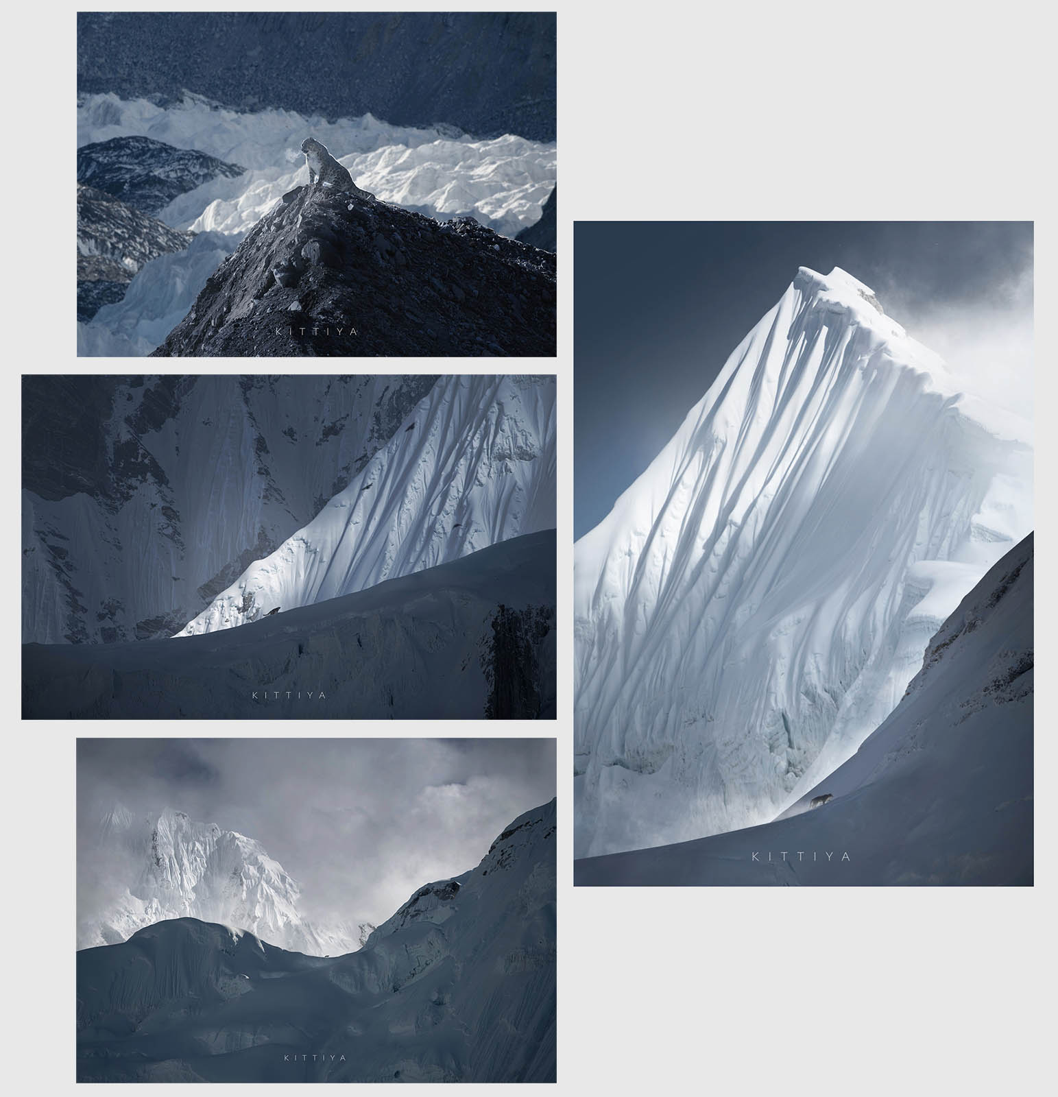 Photographer Admits That Viral Snow Leopard 'Photos' Are Fake | PetaPixel