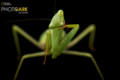 Photo Ark: A Photographer's Mission to Capture 20,000 Animal Species ...
