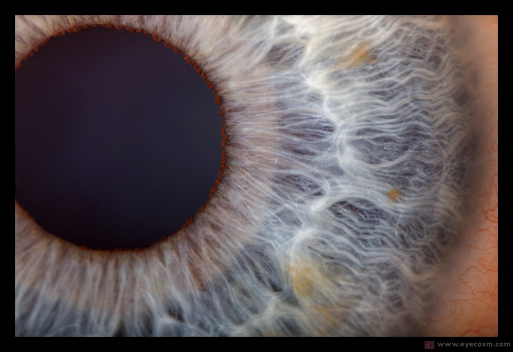 Extreme Eye Photos That Look Like an Aerial View of an Alien Landscape ...