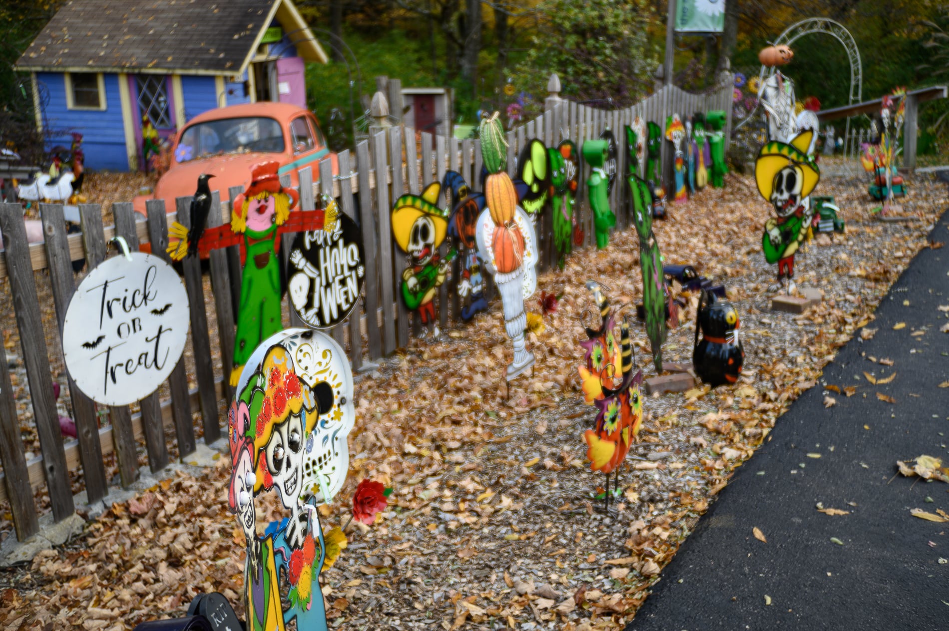 Meyer Optik 35mm f/2.8 Trioplan II Review: Bokeh is Front and Center ...