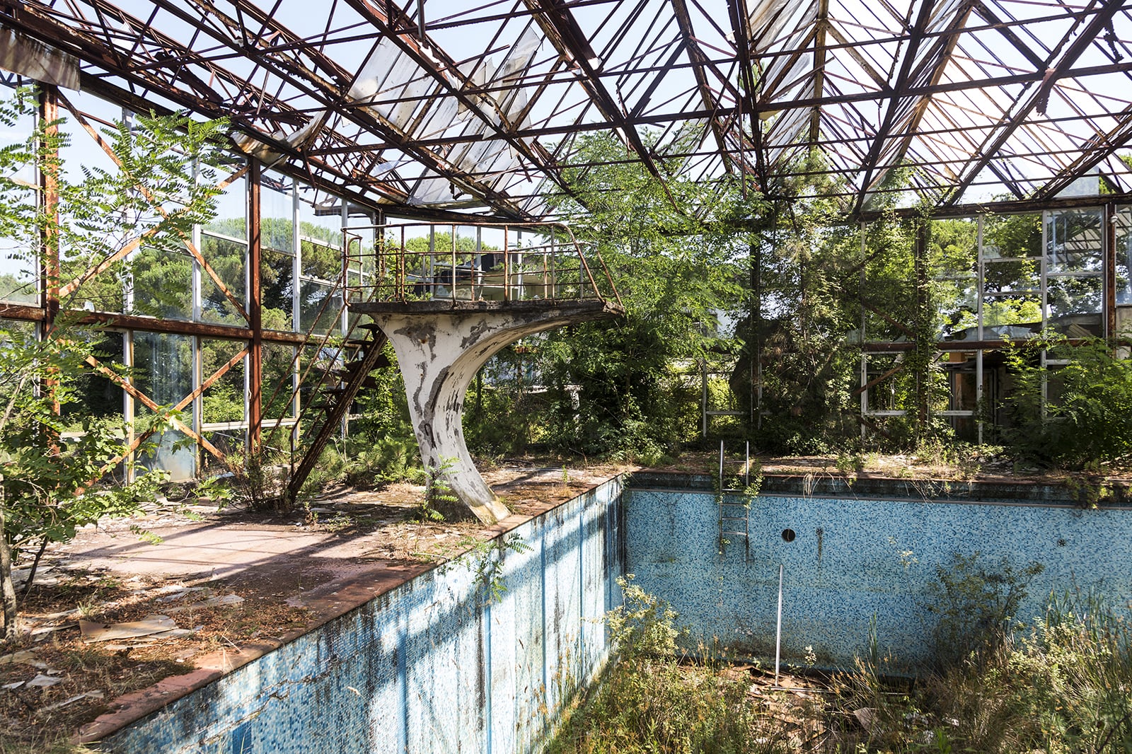 Harrowing 'The Bitter Death of Birds' Wins Environmental Photo of the ...