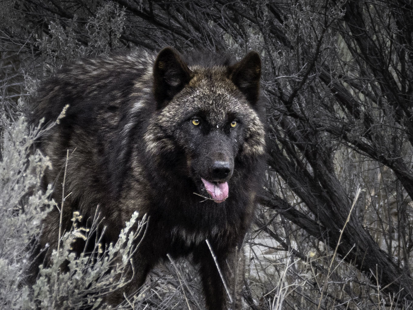 Photographer Shares Funny Side of Her Wildlife Photography | PetaPixel