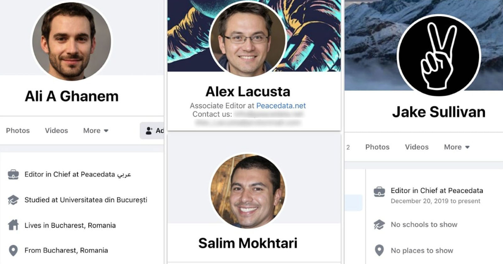 Fake Facebook Profiles