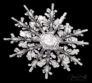 Photographer Seeks Perfectly Formed Snowflakes for Magical Photo Series ...