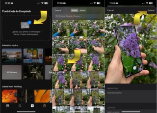 Unsplash: What is It and How Does It Work? | PetaPixel