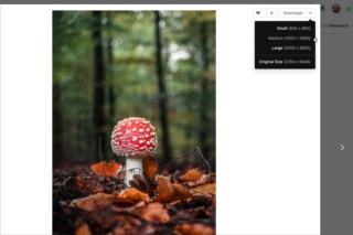 Unsplash: What is It and How Does It Work? | PetaPixel