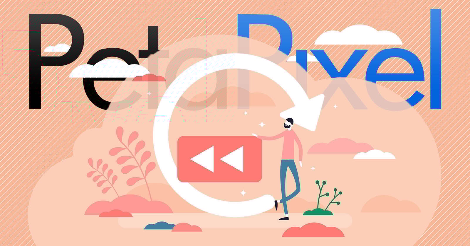 The State of PetaPixel 2022: At the Nexus of Technology and Art | PetaPixel