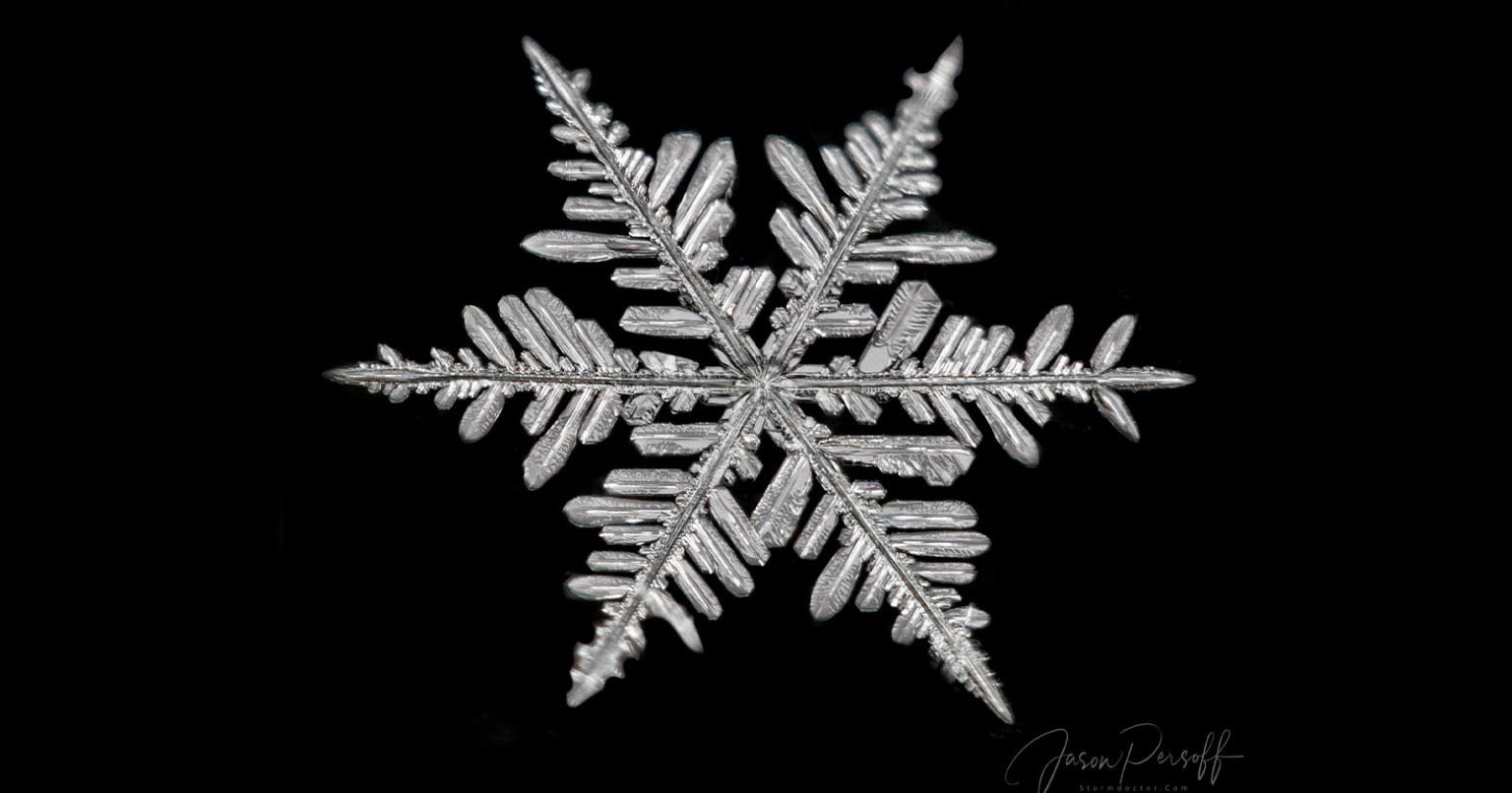 Photographer Seeks Perfectly Formed Snowflakes for Magical Photo Series ...