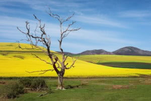 How to Achieve Compositional Balance in Photography | PetaPixel