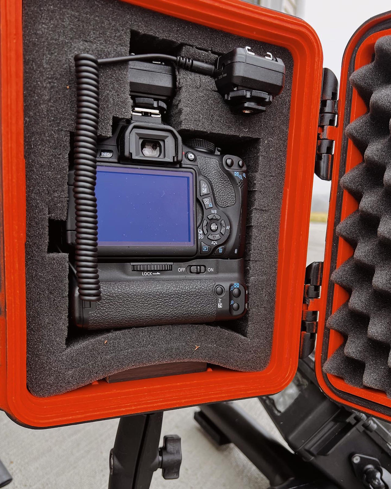 Photographer Captures Stunning Fox Photos with DIY Camera Trap | PetaPixel