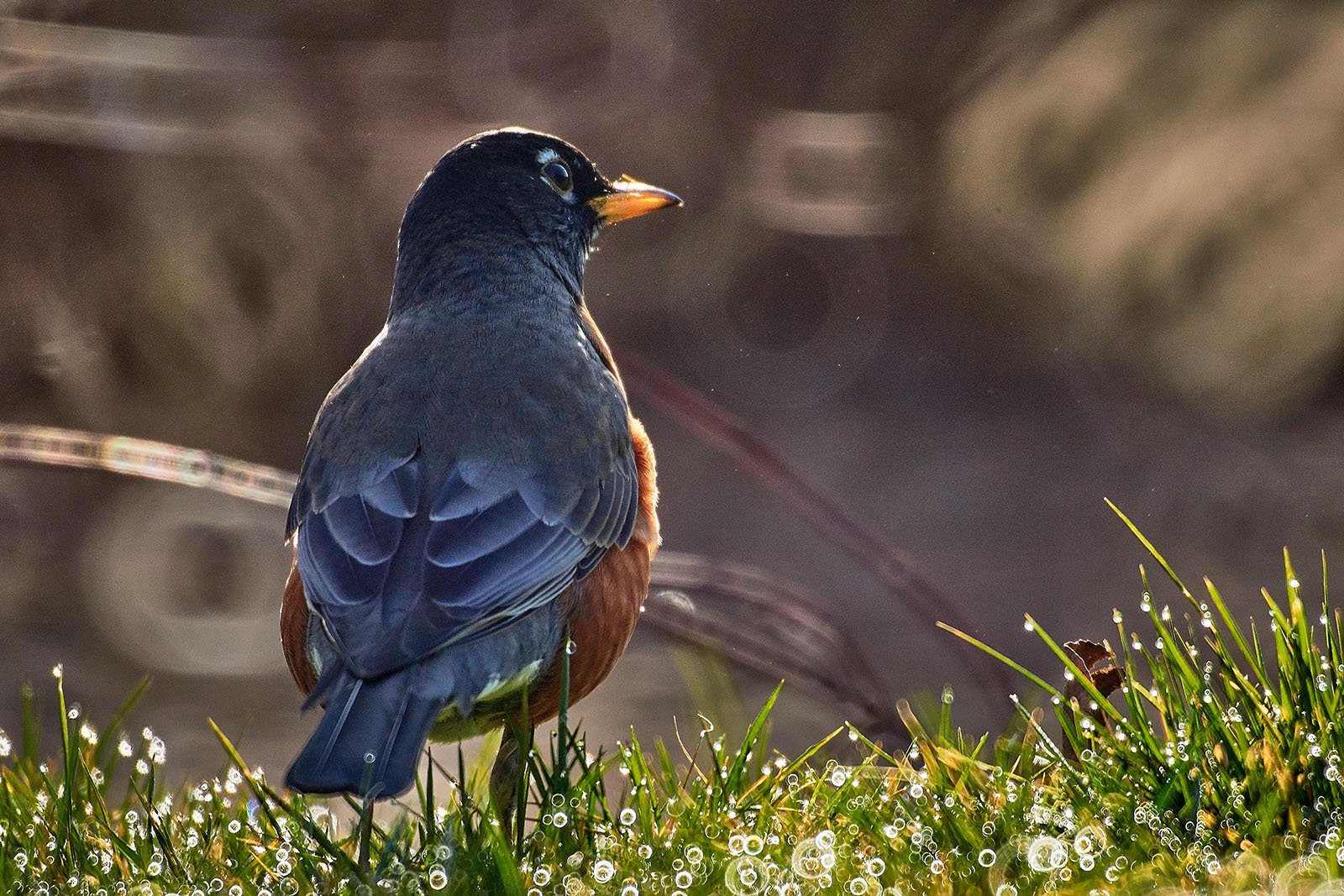 Canon Designs 300mm f/2.3 and 400mm f/5 Autofocus Mirror Lenses | PetaPixel