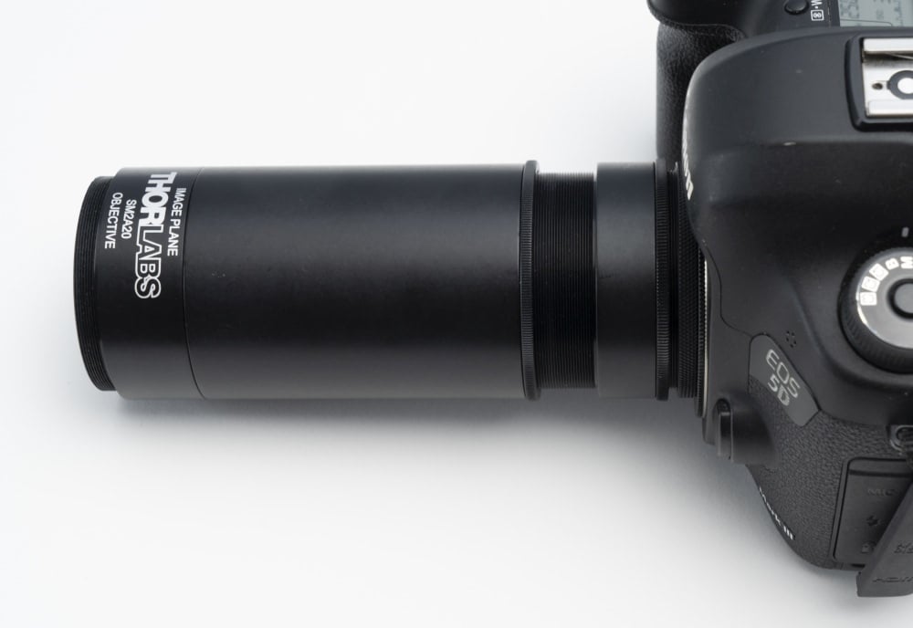 Using Long Working Distance Macro Lenses with Your Camera | PetaPixel