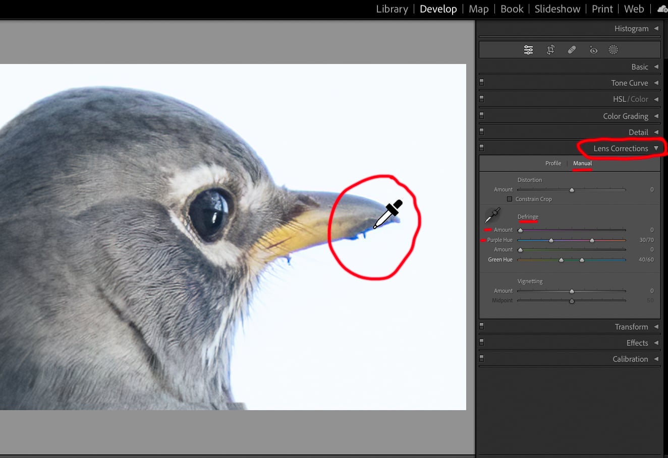 What is Chromatic Aberration? How to Deal with Color Fringing | PetaPixel