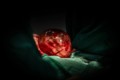 Photographer Captures Rare Birth Photo of Baby Still in Amniotic Sac ...