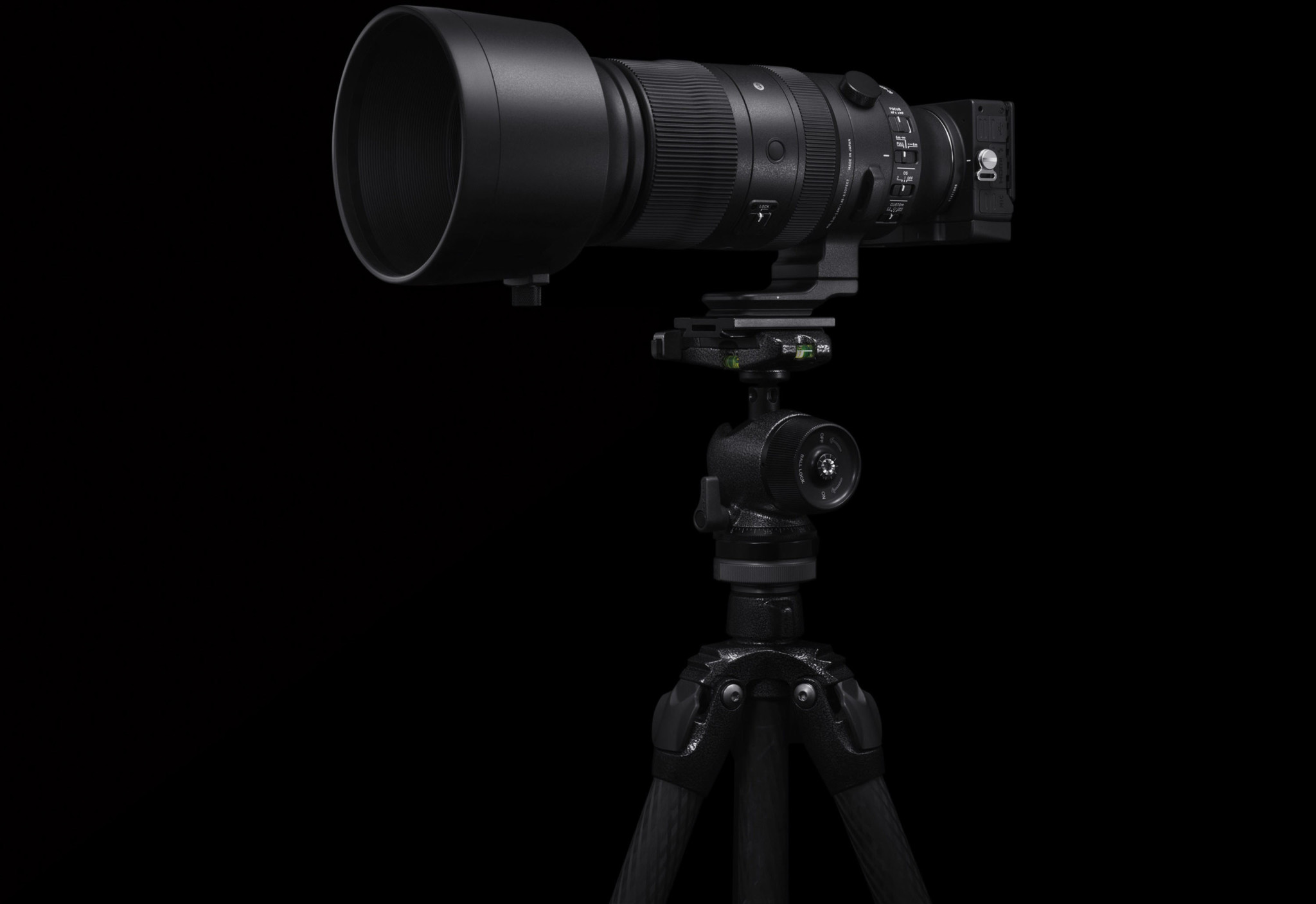 Sigma's New 60-600mm Sports Lens is World's First 10x Tele for ...
