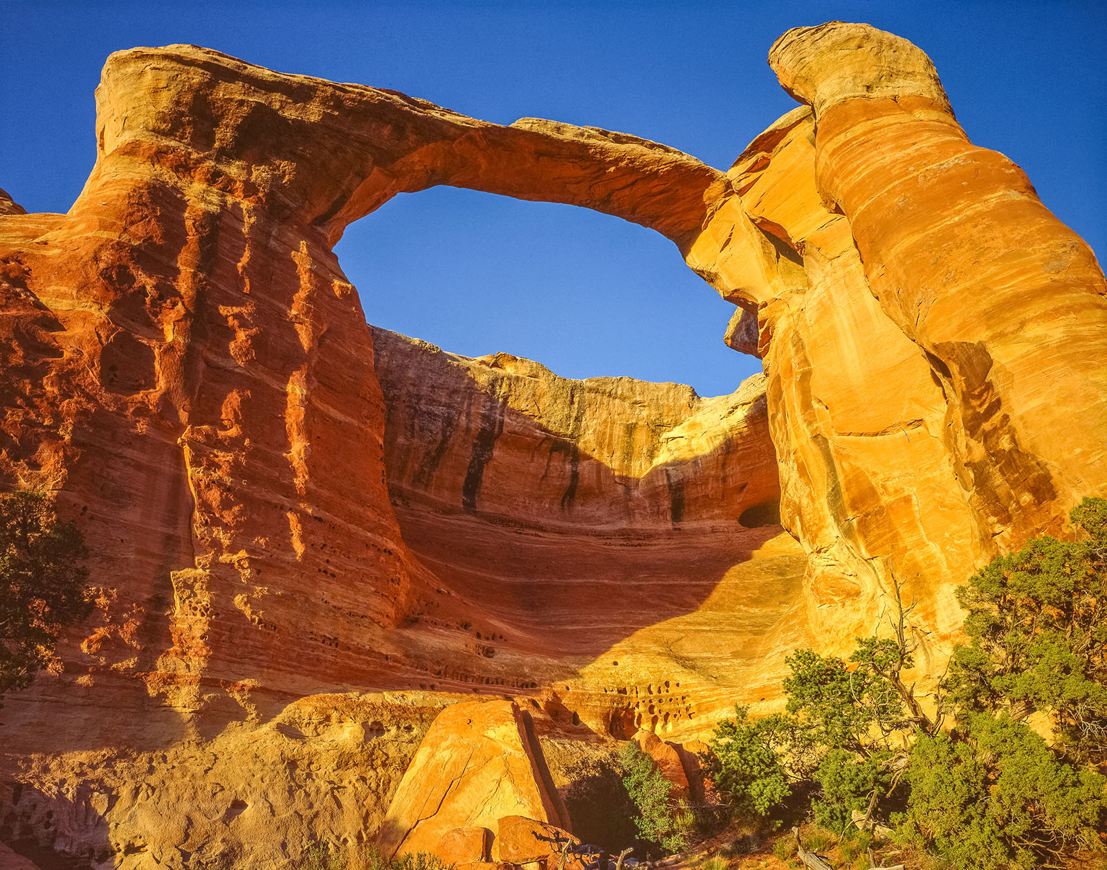 Celebrated Nature Photographer Donates Life's Work to Public Domain ...