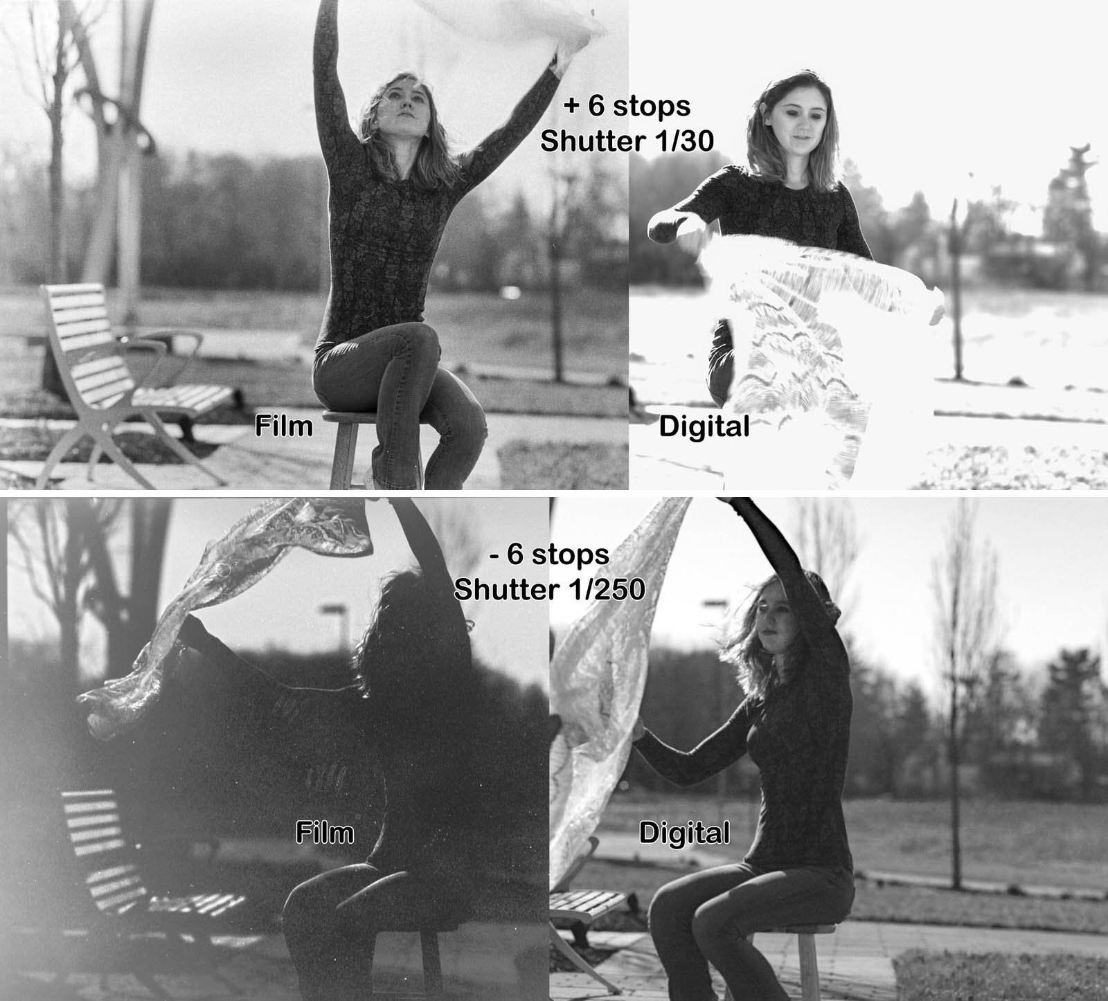 What is Dynamic Range in Photography? | PetaPixel