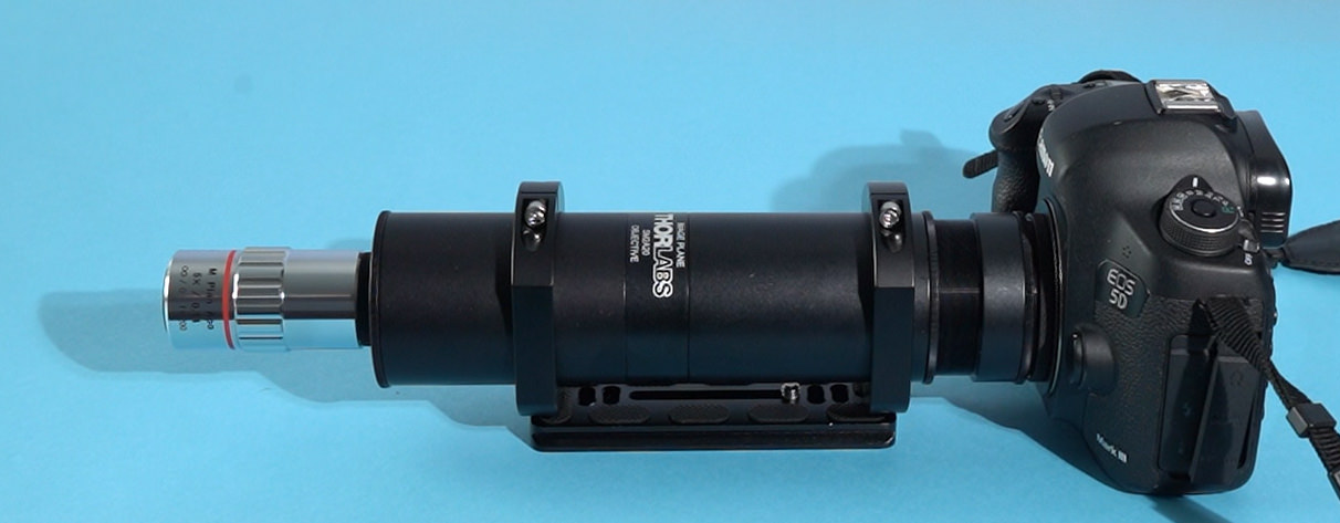 Using Long Working Distance Macro Lenses with Your Camera | PetaPixel