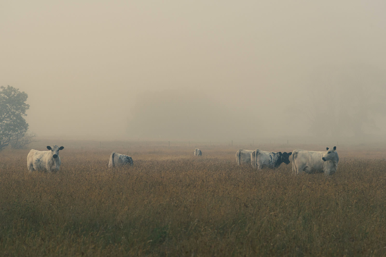 This Photographer Captures Rarely Seen Side of Australian Nature ...