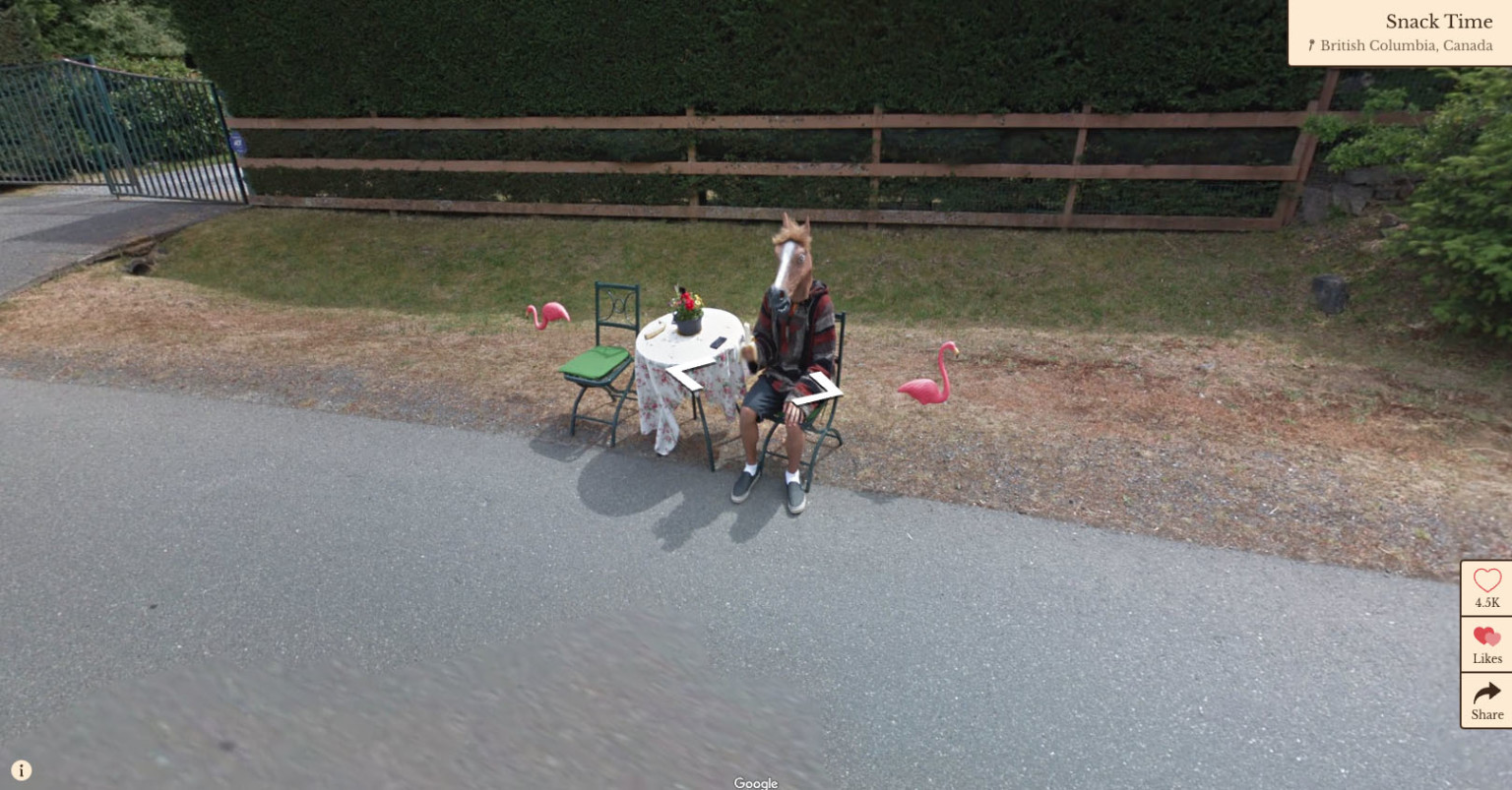 'Wonders of Street View' Highlights the Most Bizarre Scenes on Google ...
