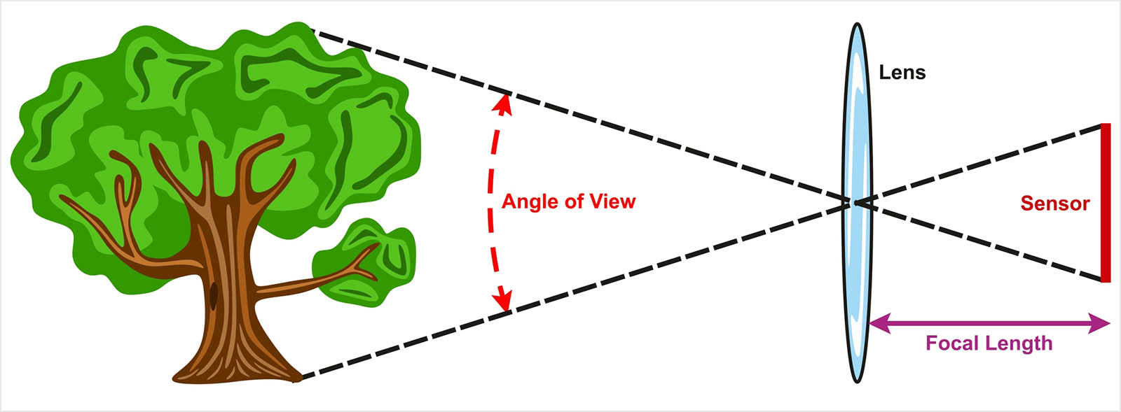 What is Focal Length in Photography? | PetaPixel