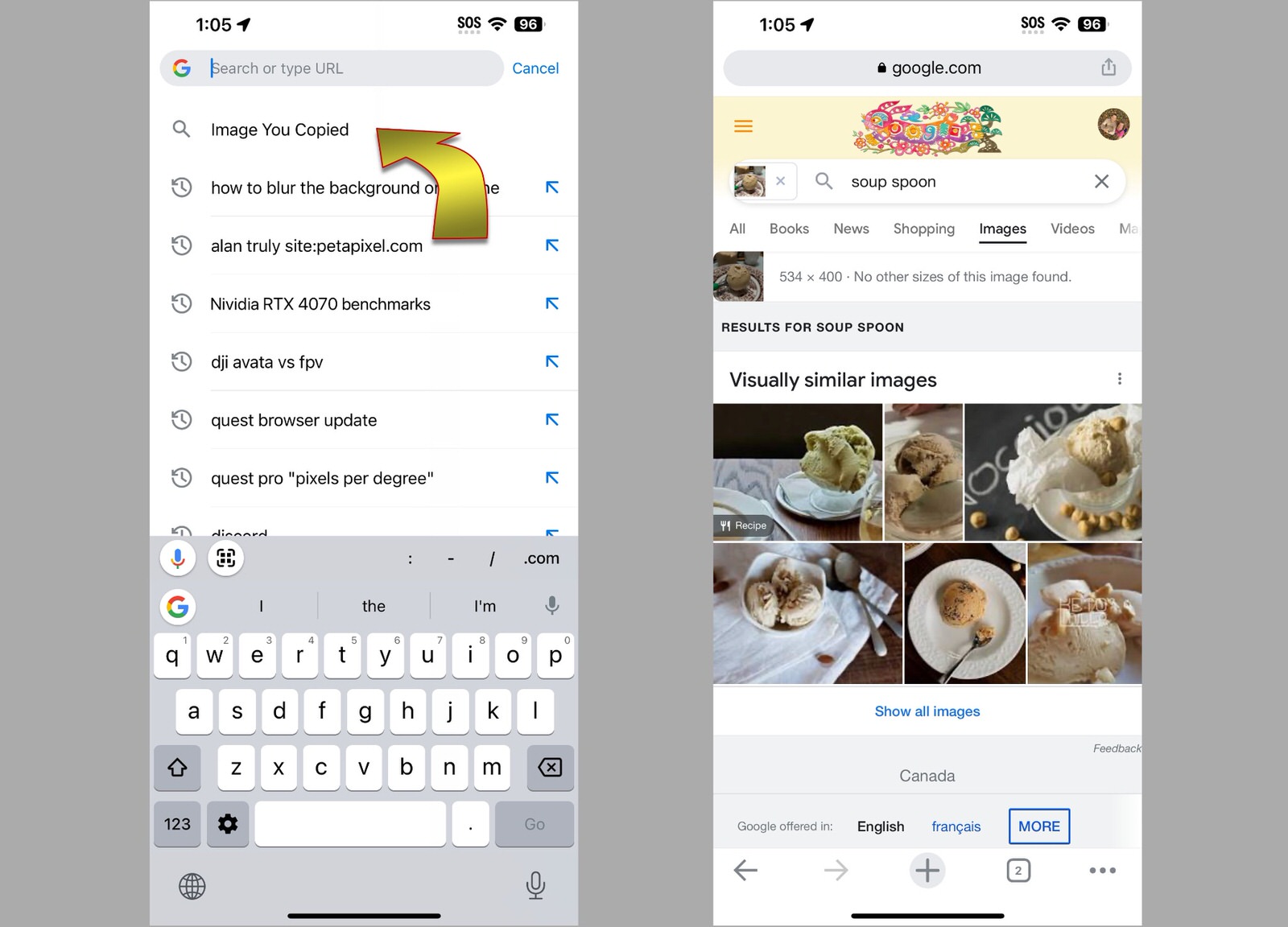 How to Reverse Image Search on iPhone | PetaPixel