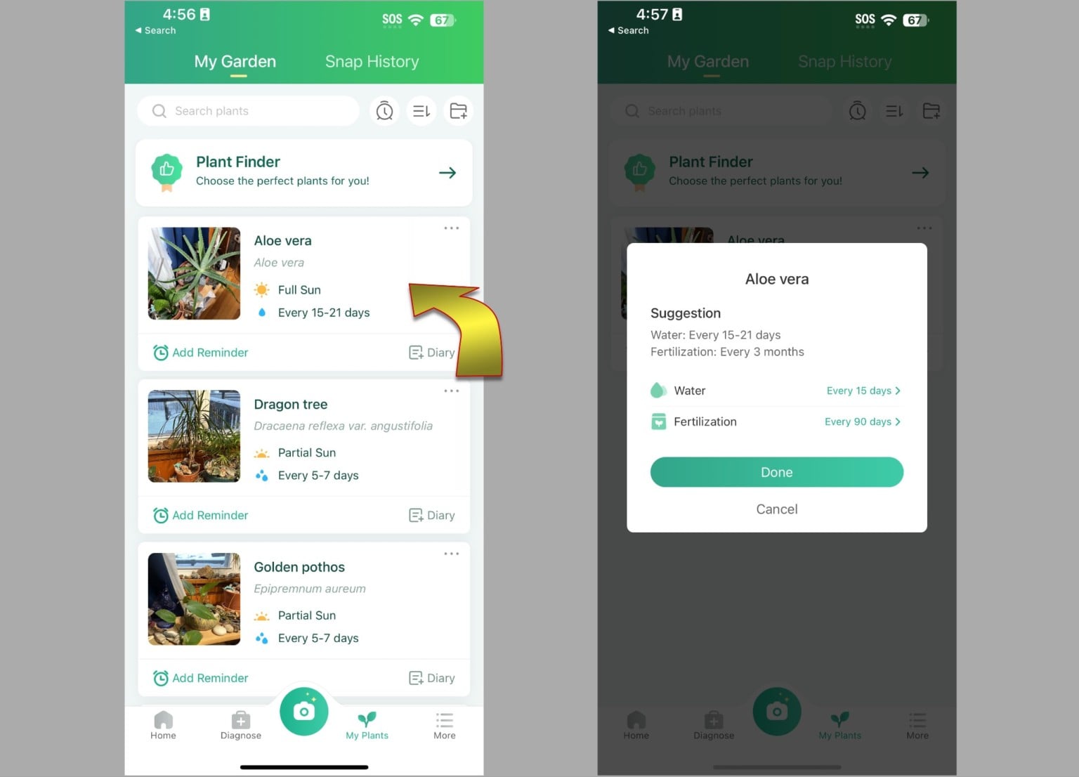 PictureThis: The Best Plant Identifier Camera App | PetaPixel