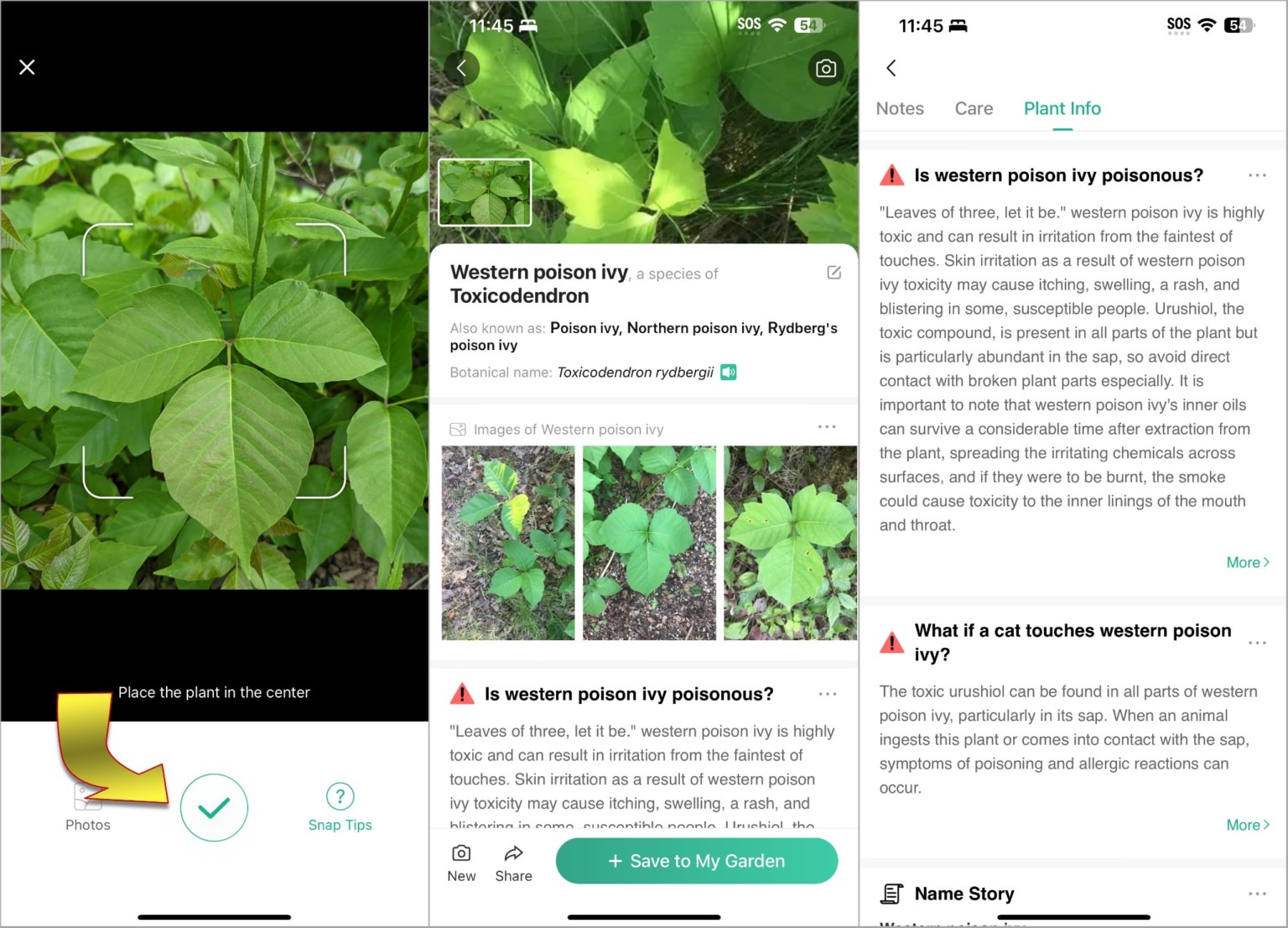 PictureThis: The Best Plant Identifier Camera App | PetaPixel