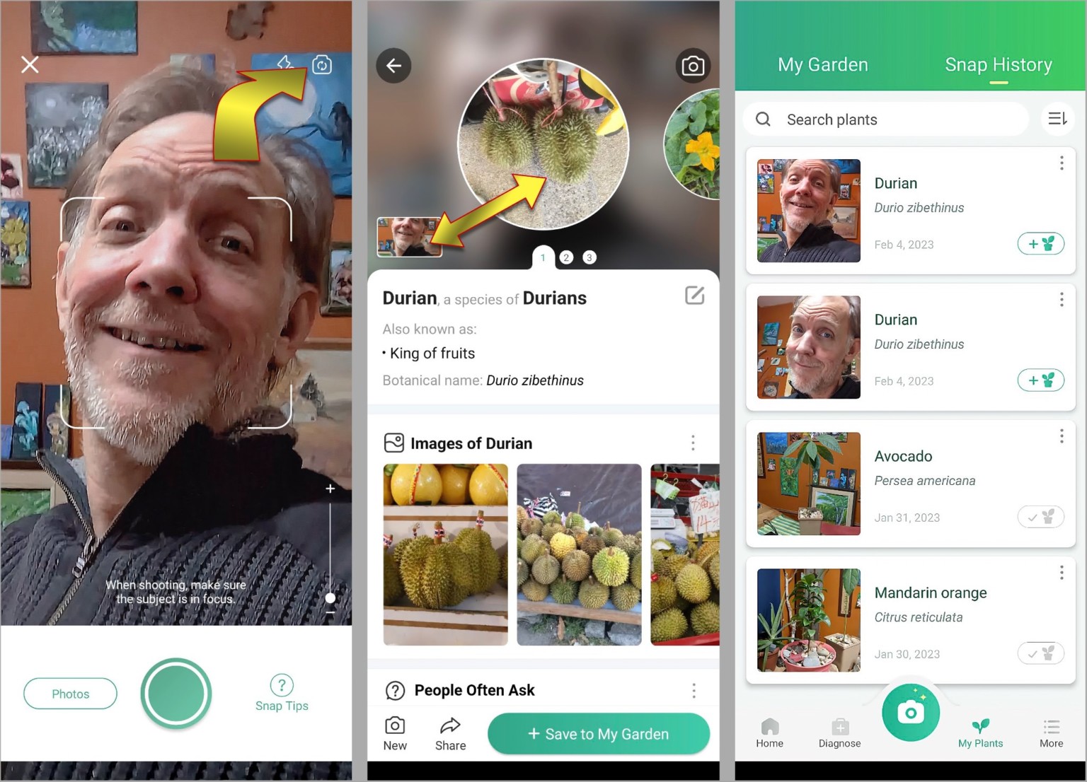 PictureThis: The Best Plant Identifier Camera App | PetaPixel