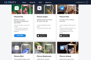 PictureThis: The Best Plant Identifier Camera App | PetaPixel
