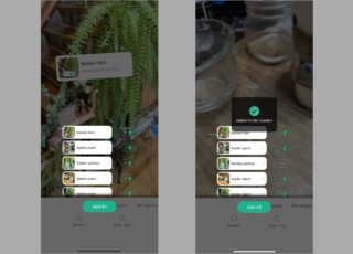 PictureThis: The Best Plant Identifier Camera App | PetaPixel