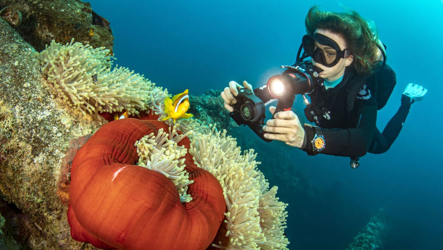 The Best Waterproof Cameras in 2025 | PetaPixel