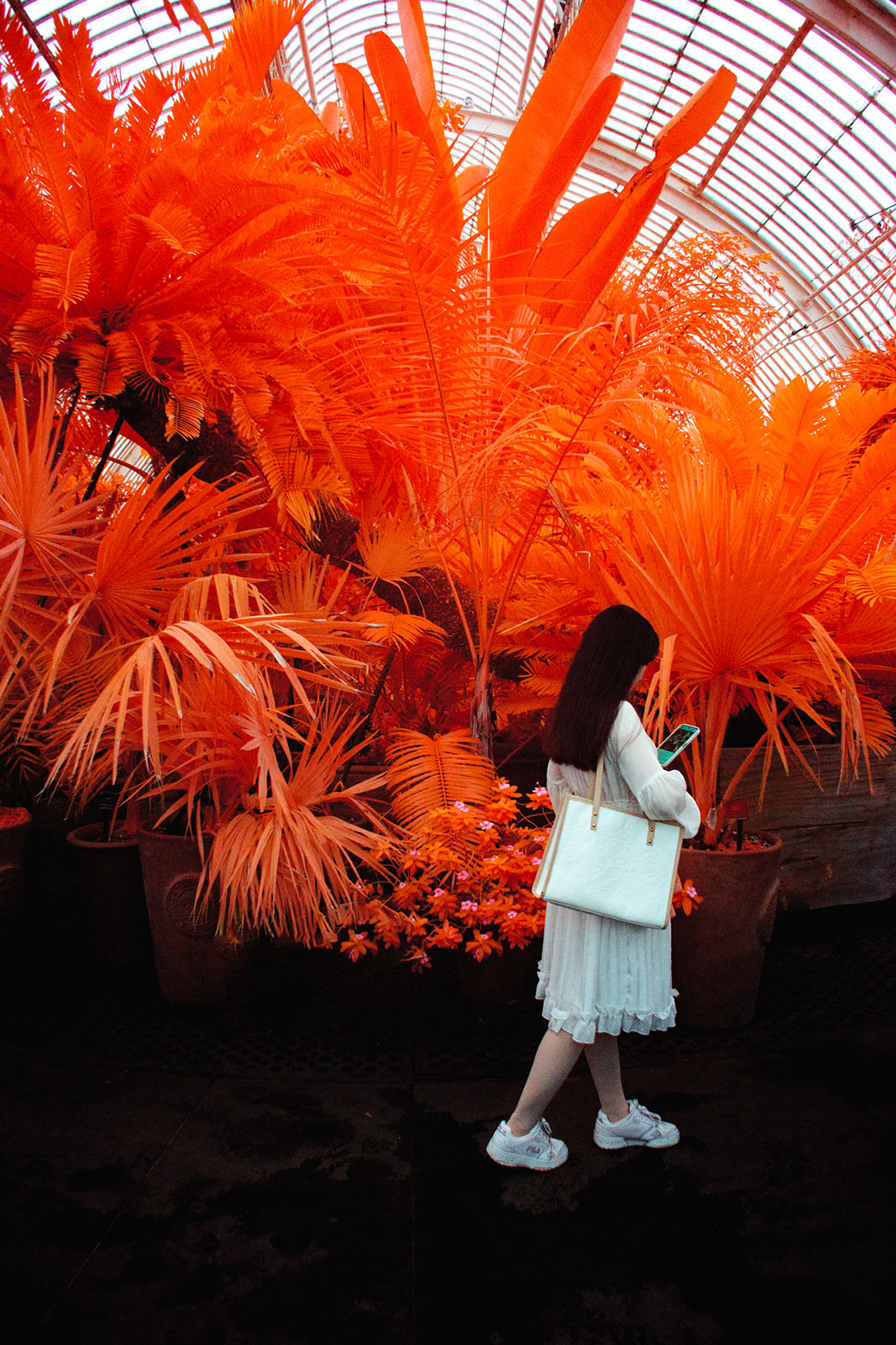 Capturing Beautifully Unique Travel Photos with a Full-Spectrum Camera ...