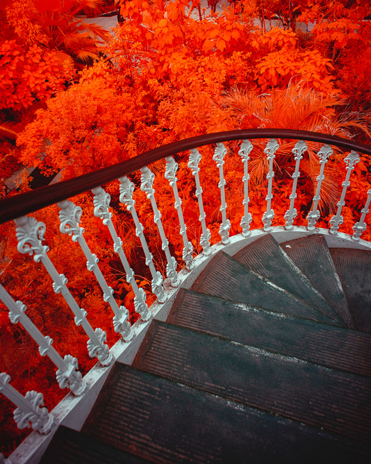 Capturing Beautifully Unique Travel Photos with a Full-Spectrum Camera ...