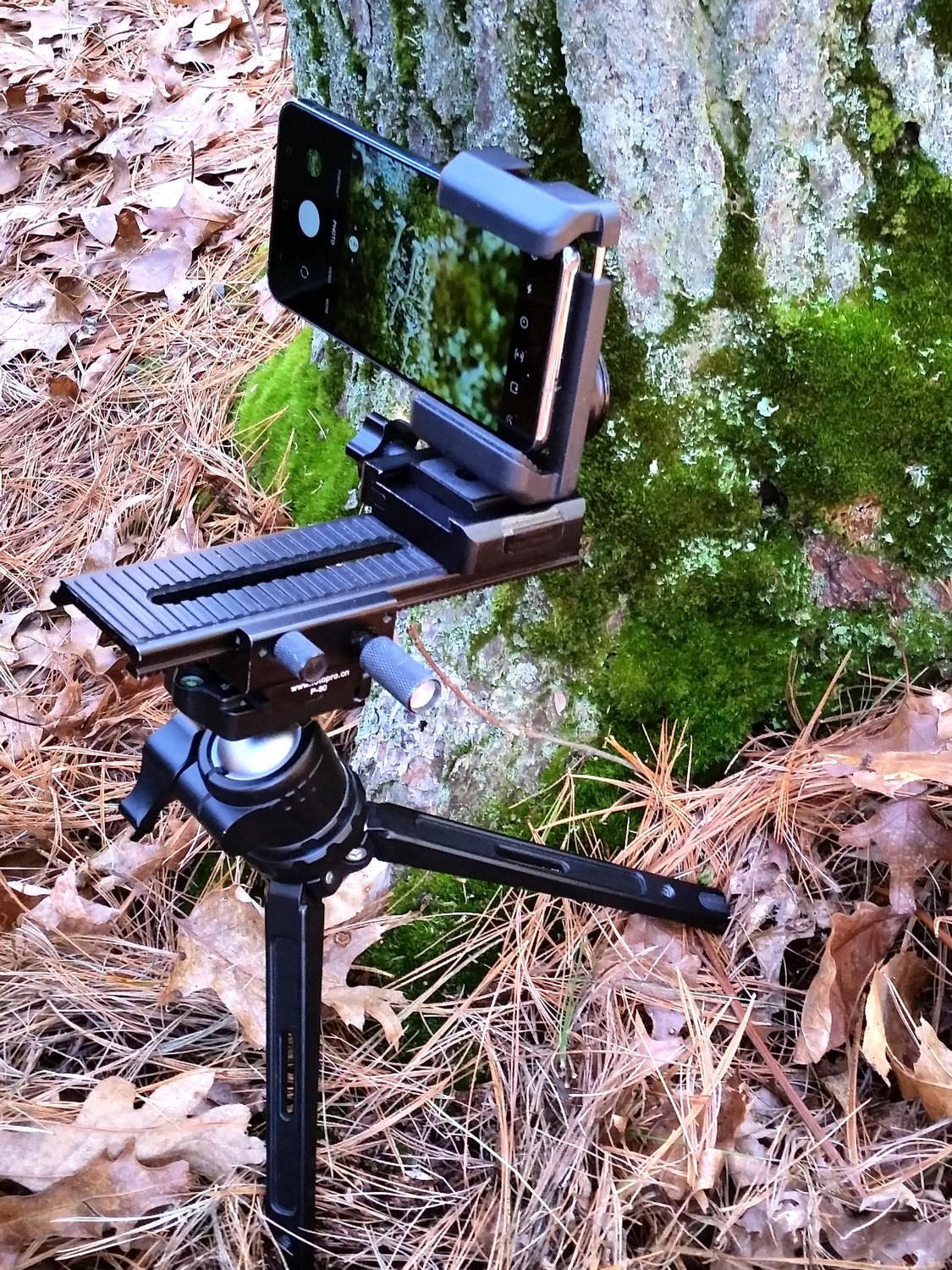 Apexel 100mm Macro Lens Kit Review: An Impressive Phone Add-On | PetaPixel
