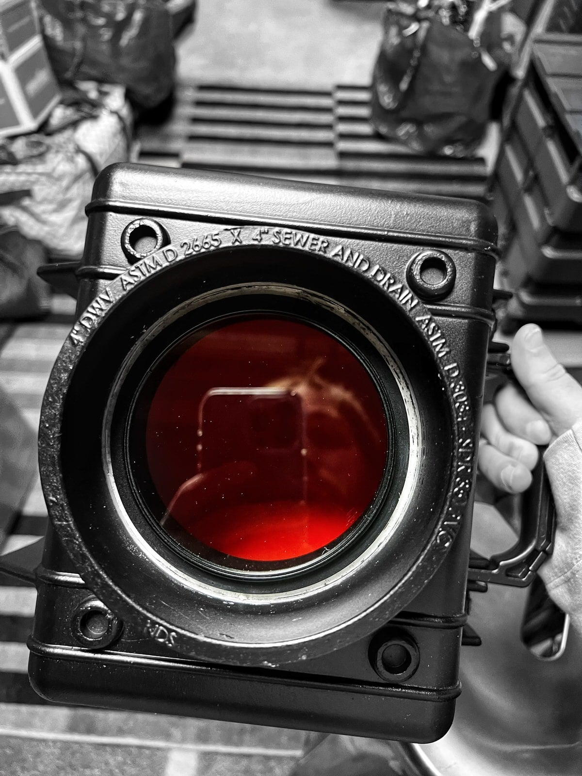 How to Build a DIY Camera Trap for Amazing Wildlife Photography | PetaPixel