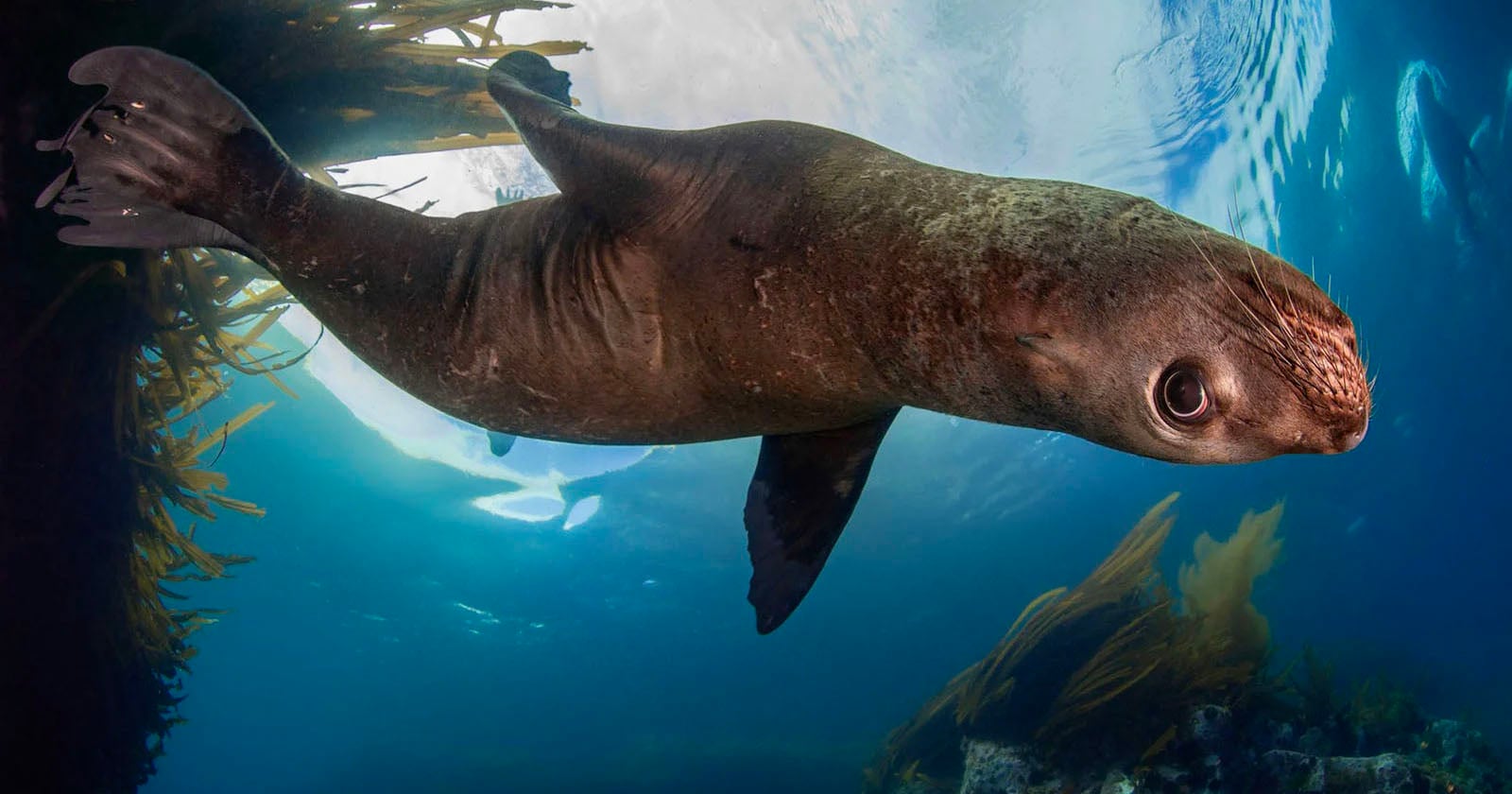 Photos from Remote Moneron Island: A Hidden Wildlife Paradise | PetaPixel