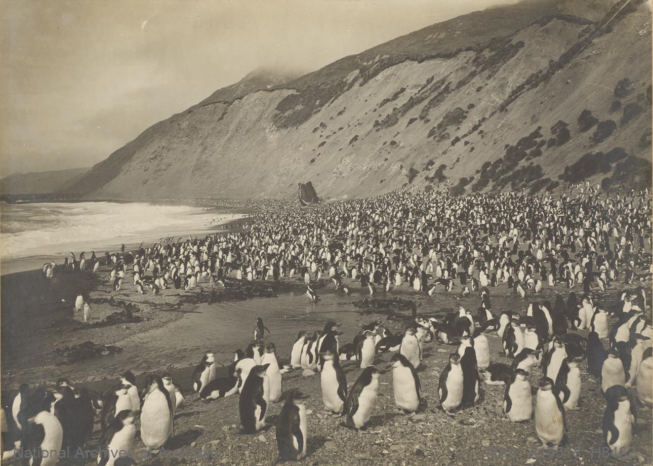 Rare Photos From Early Antarctic Expeditions Digitized for First Time ...